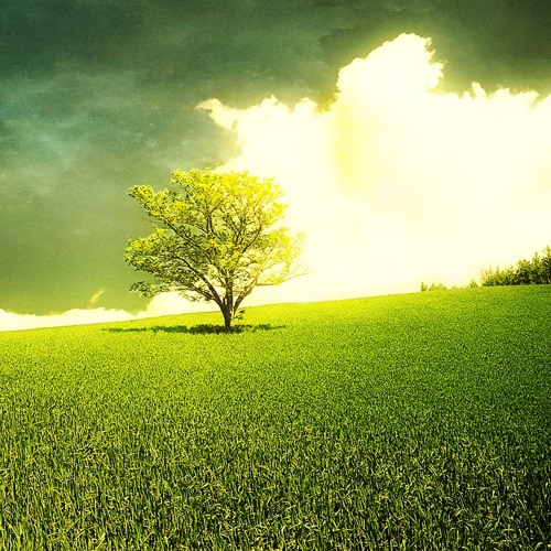 Stream Vamos Art - The Green Carpet Promo Set by VAMOS ART | Listen ...