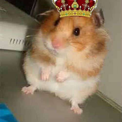 Stream "The Hamster King" Pre-Production Demo by MUD DUCK | Listen ...