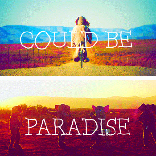 Coldplay Paradise Cover