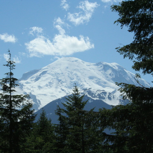 Stream Angels Bathing Pool by Striking Chords | Listen online for free ...