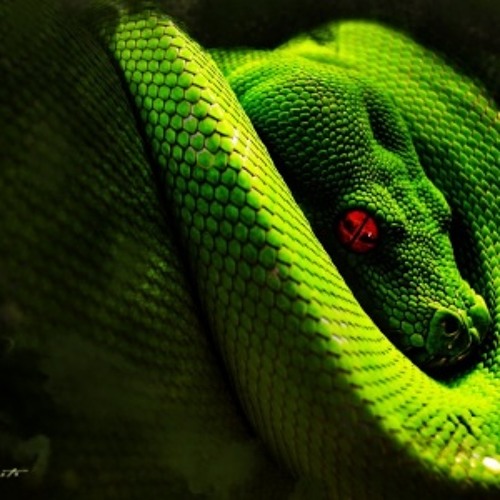 Stream VENOM INJECTION PROMO AUDIO by EvilAlivE | Listen online for ...