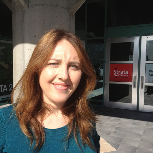 Stream Entrevue avec Rachel Schutt, chercheuse aux laboratoires Johnson ...