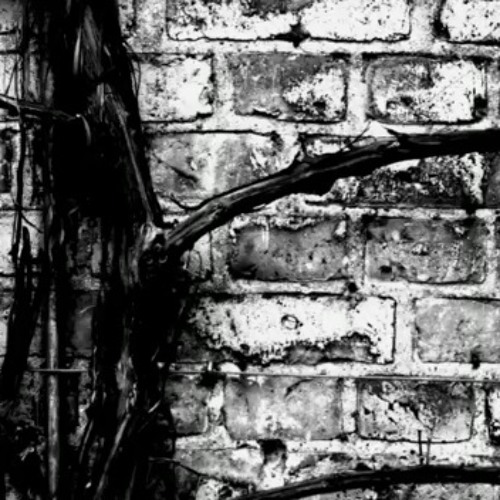 Stream Navid Farsi | Listen to 32 playlist online for free on SoundCloud