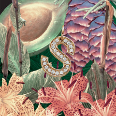 Sza See Sza Run