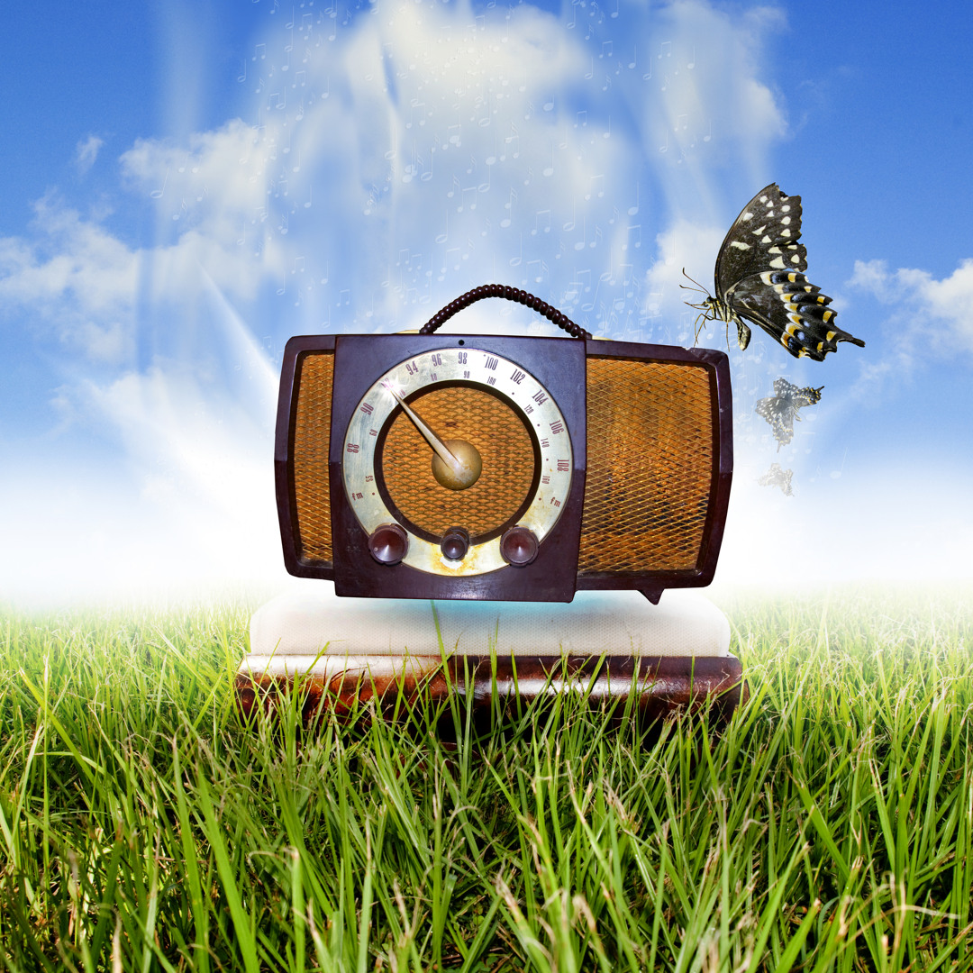 Stream Radio Circuits By Devicetransition Listen Online For Free On