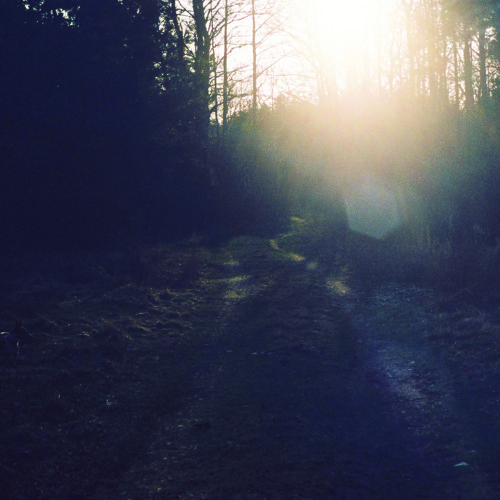 Stream Soend (2013) by maarja nuut | Listen online for free on SoundCloud