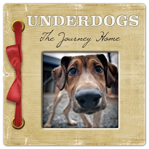 Stream Underdog Radio Program by Beth Addison 1 | Listen online for ...