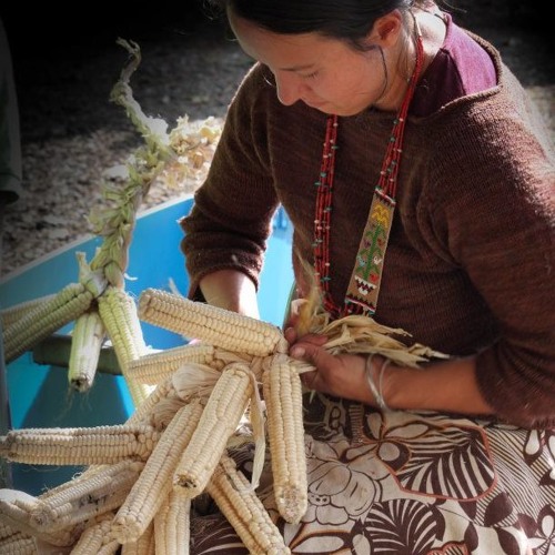 Stream Rowen White shares her blessing of seed stories by SeedBroadcast ...