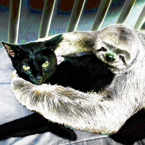 Stream Sloth and Cat by Klangwandler | Listen online for free on SoundCloud