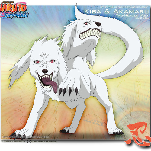 Kiba And Akamaru Shippuden Wallpaper