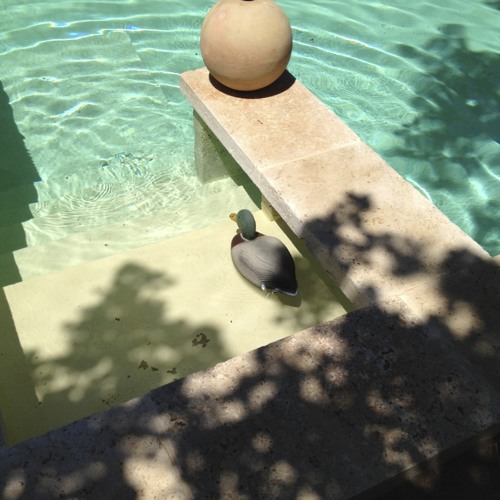 Stream Marion - Alto Sax by pierre.etmer | Listen online for free on ...