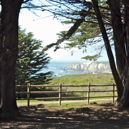 Stream Happy Place by Cali Ray | Listen online for free on SoundCloud