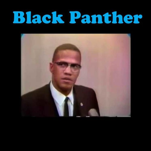 Stream Black Panther by Quiet rEvolution | Listen online for free on ...