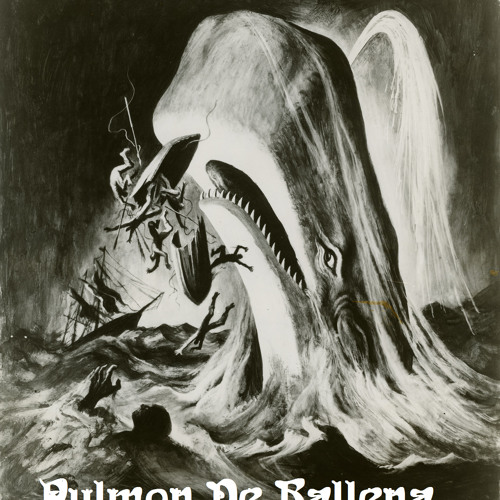 Stream Pulmon de Ballena - Puedo ver by Pulmondeballena | Listen online ...