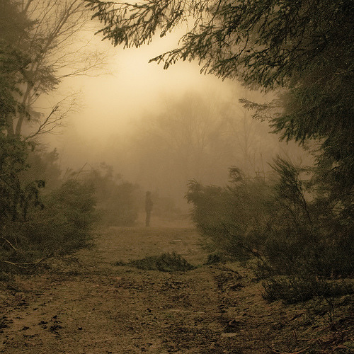 Stream Bloom (Charlotte's Theme) by Jon Brammer ♪ | Listen online for ...