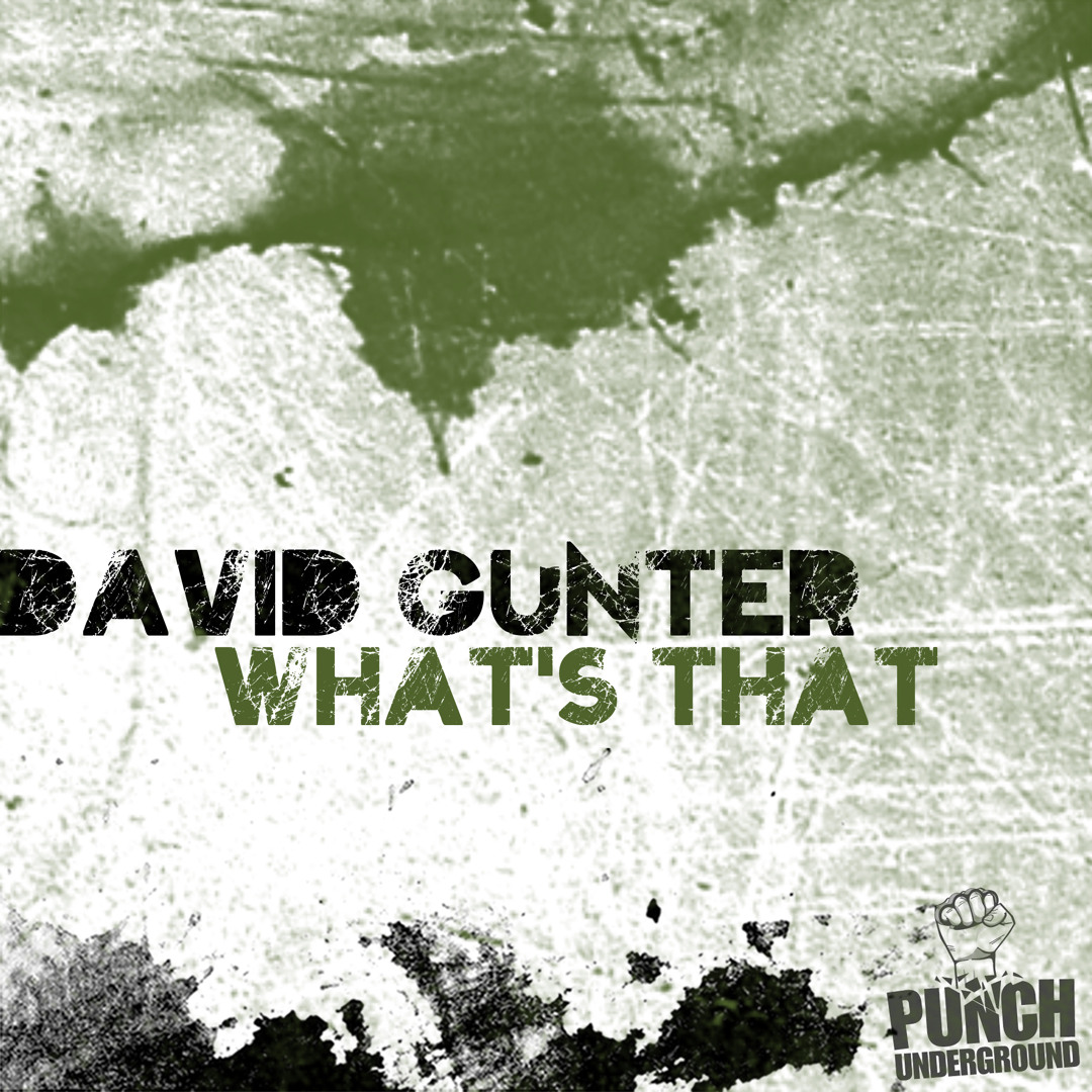 Stream What's that? by David Gunter | Listen online for free on SoundCloud