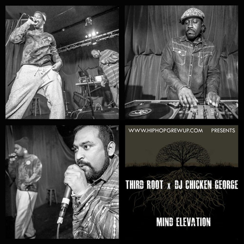Stream Third Root x DJ Chicken George "History" by Third Root | Listen ...