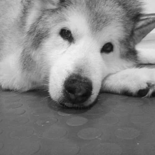 Stream (MAU RIVERA) SINEXIA (ORIGINAL MIX) by MAU RIVERA | Listen ...