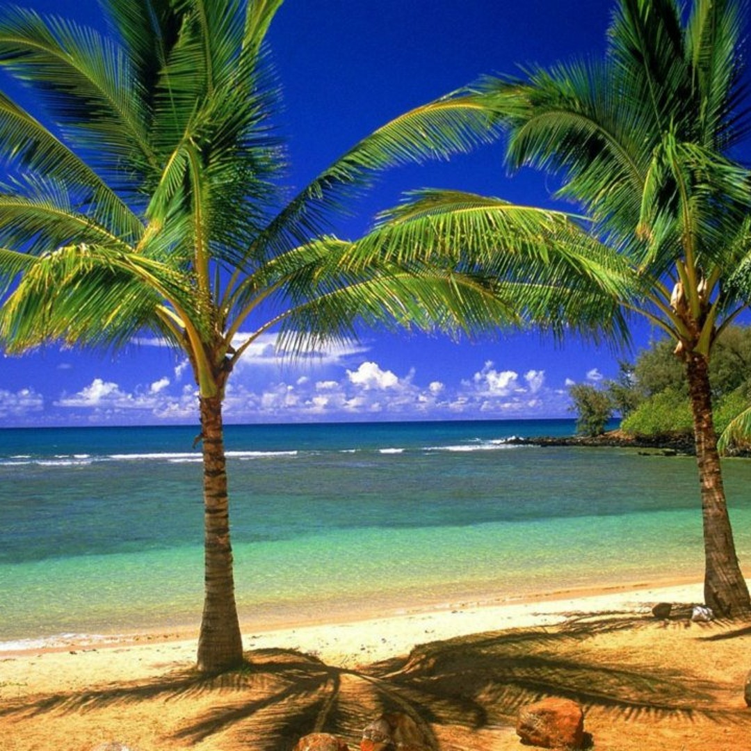 Stream HFJr. | Listen to HF Jr. Playlist playlist online for free on ...