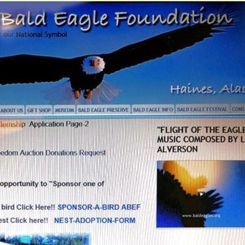 Stream Flight of the Eagle (Official Song of The American Bald Eagle ...