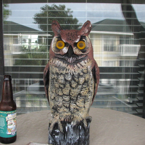 Stream Hoppin' Frogs [work in progress] by George May | Listen online ...