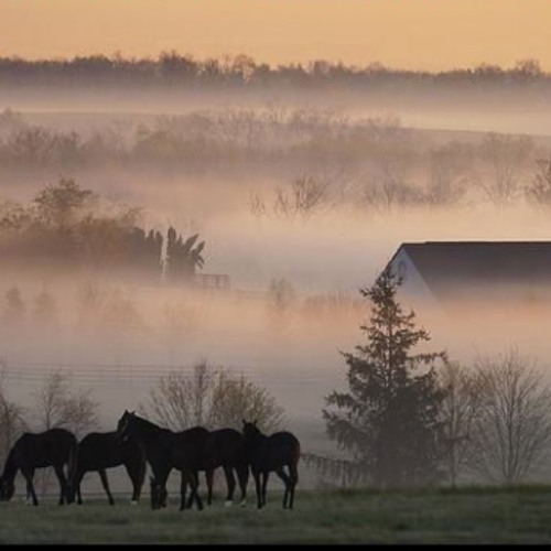 Stream Salvation (Gabrielle Aplin) by Bridget Potter by Bridget Potter ...