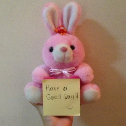 Stream The Can Can by Camila Nur Azima | Listen online for free on ...