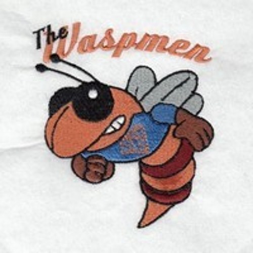 Stream The Waspmen - Lucifer Sam Remix by msdrummer | Listen online for ...