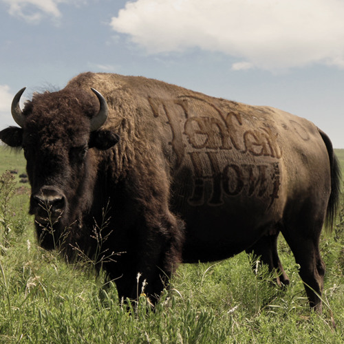 Stream Where The Buffalo Roam 01 Bourbon Sea by Ten Cent Howl | Listen ...