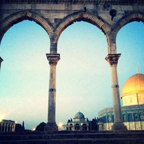 Stream Alaa Abdo | Listen to Palestine ♥️🇵🇸 playlist online for free on ...