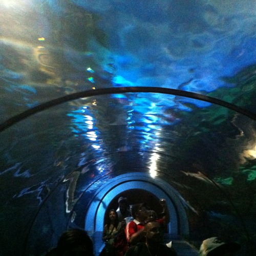 Stream Hall Of Fish by Schewfly | Listen online for free on SoundCloud