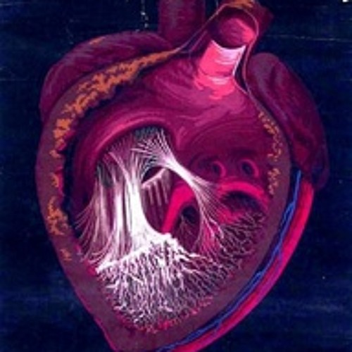 Stream Naked Heart by Megwyn White | Listen online for free on SoundCloud