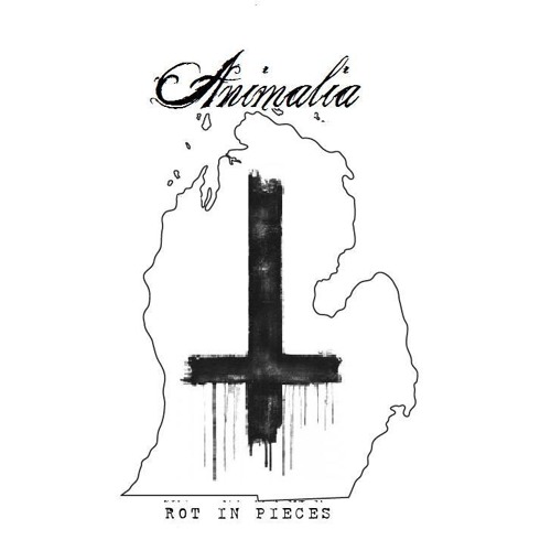 Stream SpiritBoard by Stetson Rogers | Listen online for free on SoundCloud