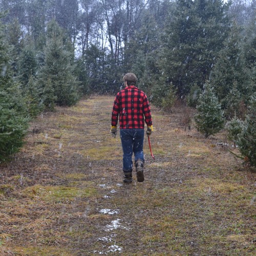 Stream Swell Song by Alex Mason (Toronto ON) | Listen online for free ...