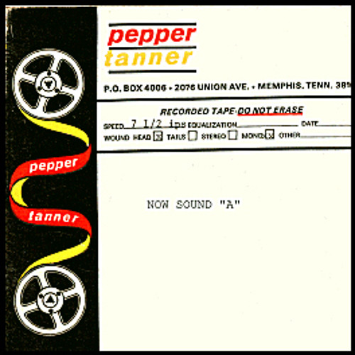 Stream Pepper Tanner 'Now Sound' cut for BBC Radio 1 by Len Groat ...