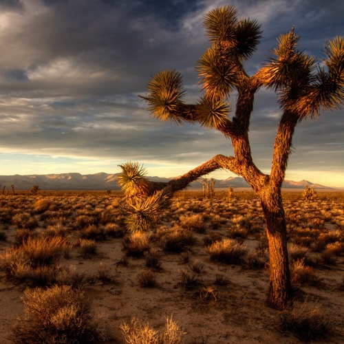 Stream U2 With Or Without You - ZBC Mix by Clive Sauvage | Listen ...