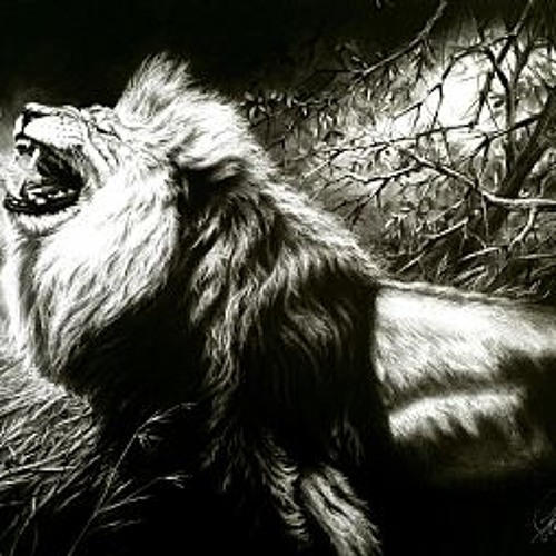 Stream Roar (Robin Edit Deficio) - Sebastian Ingrosso & Axwell by ...