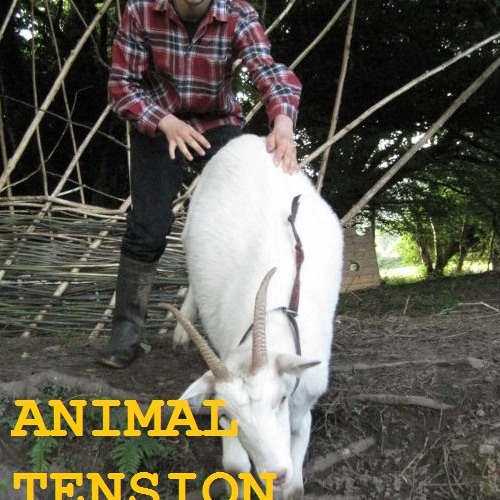 Stream Mustang Hobo | Listen to The Animal Tension Experiment playlist ...