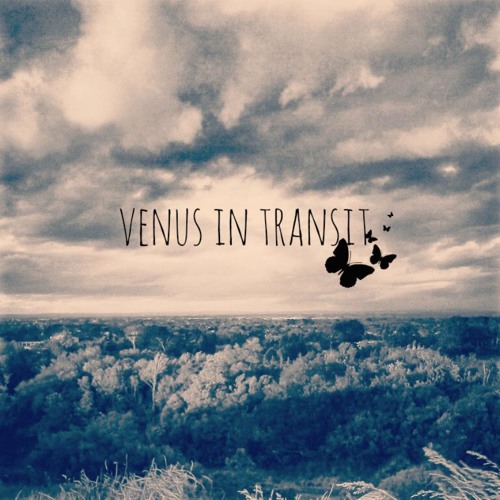 Stream Blunt by Venus In Transit | Listen online for free on SoundCloud