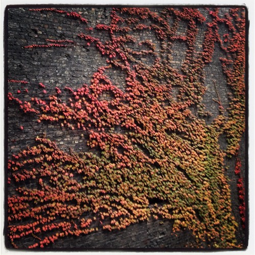 Stream Summer Vibes @ Raumklang Berlin 06-07-2013 by Marc Prochnow ...