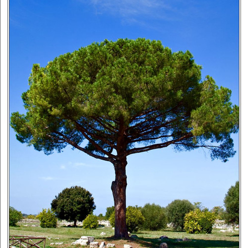 Stream Good Bad and the Leftover Theme Song by De Leftover | Listen ...