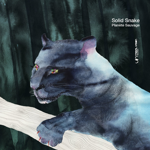 Stream Solid Snake - Shake The Snake (Original Mix) by Tribal Vision ...