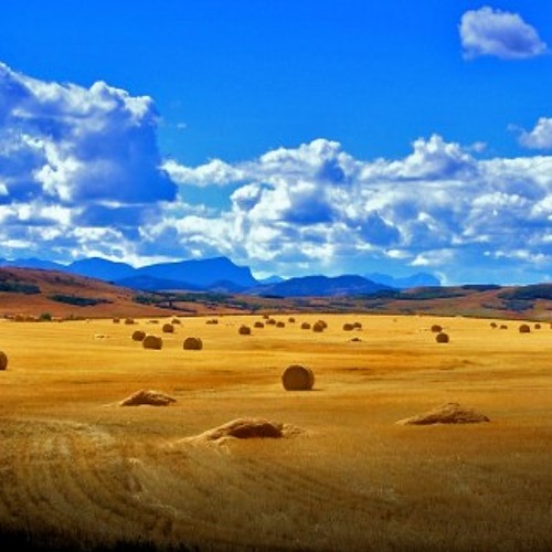 Stream The Lion King by Sven Hilbert | Listen online for free on SoundCloud