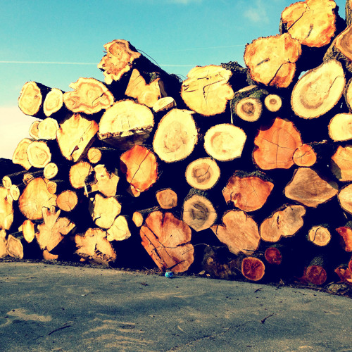 Stream No Pain No Rain - Stbb 334 by Mr Anybody | Listen online for ...