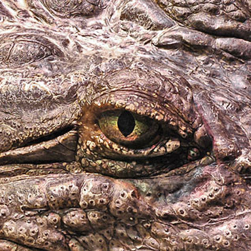 Stream billy woods "Crocodile Tears Remix" feat. Prem Rock & Teddy ...