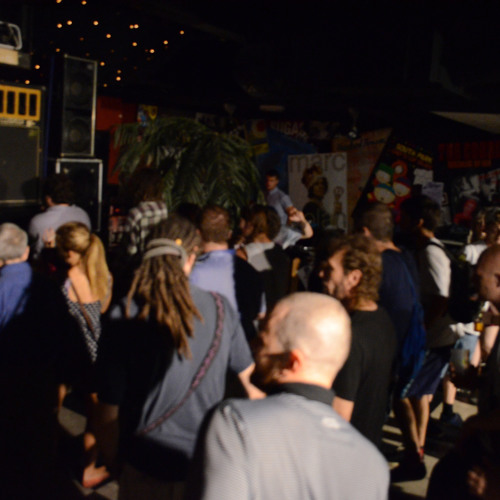 Stream Alligator Sound System Listen To Skankin With The Alligator