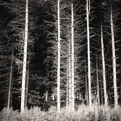 Stream Simon Binks - Capture. by Simon Binks Music | Listen online for ...