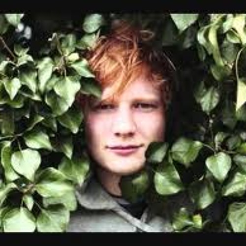 Ed Sheeran Lyrics Autumn Leaves