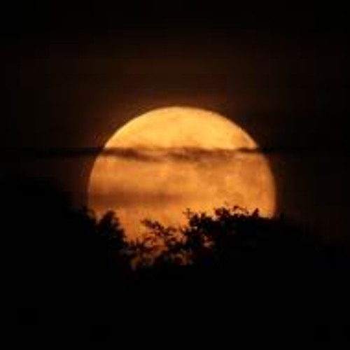 Stream My Little Pony - Rip Off by Grande Cobra | Listen online for ...