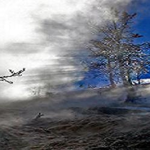 Stream 'Er komt een dag' door Nico Huisman by Arthur Moen | Listen ...